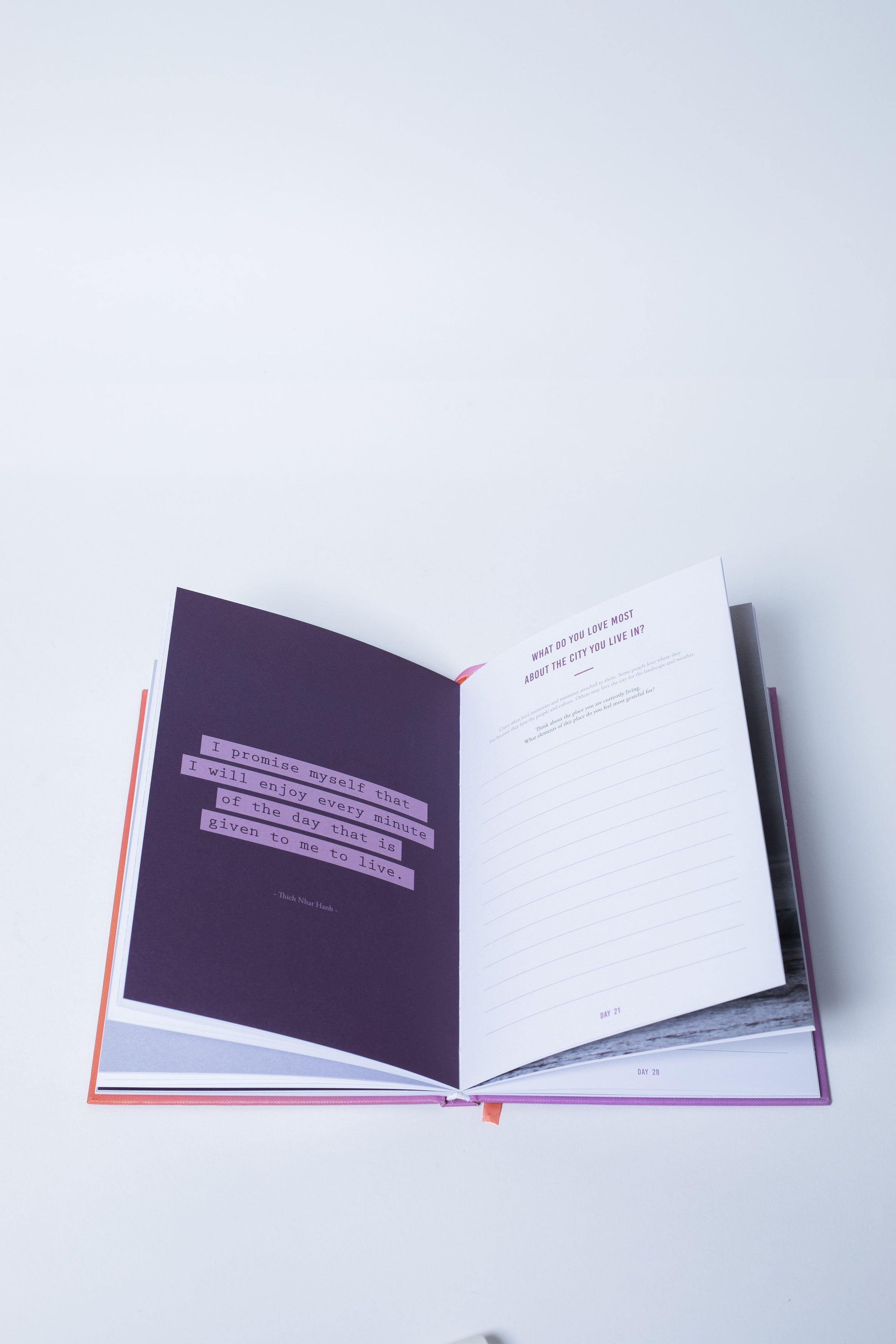 Gratitude Journal (Pink) | The Happiness Planner®