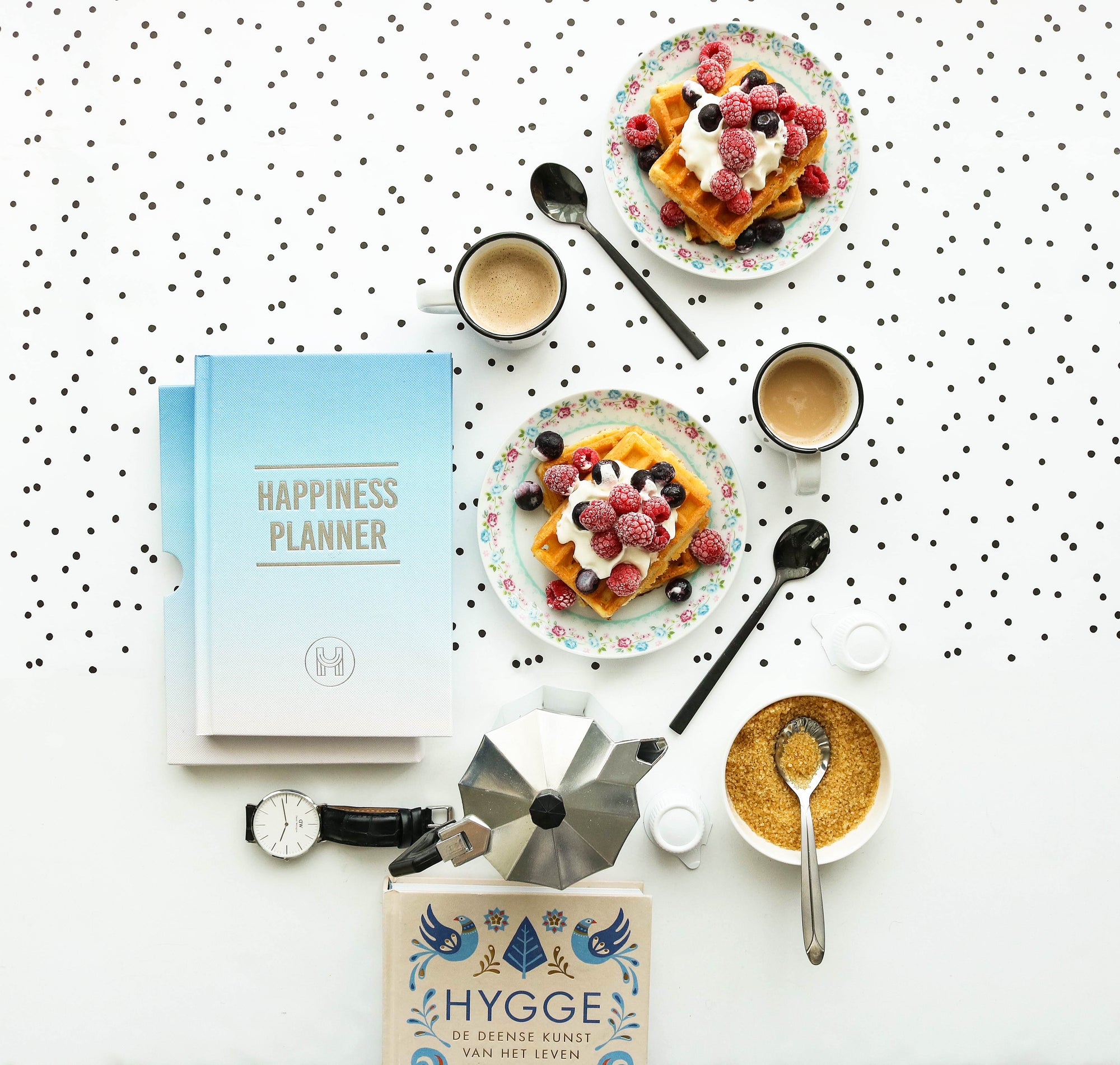 The 100-Day Happiness Planner | Blue & White | The Happiness Planner®